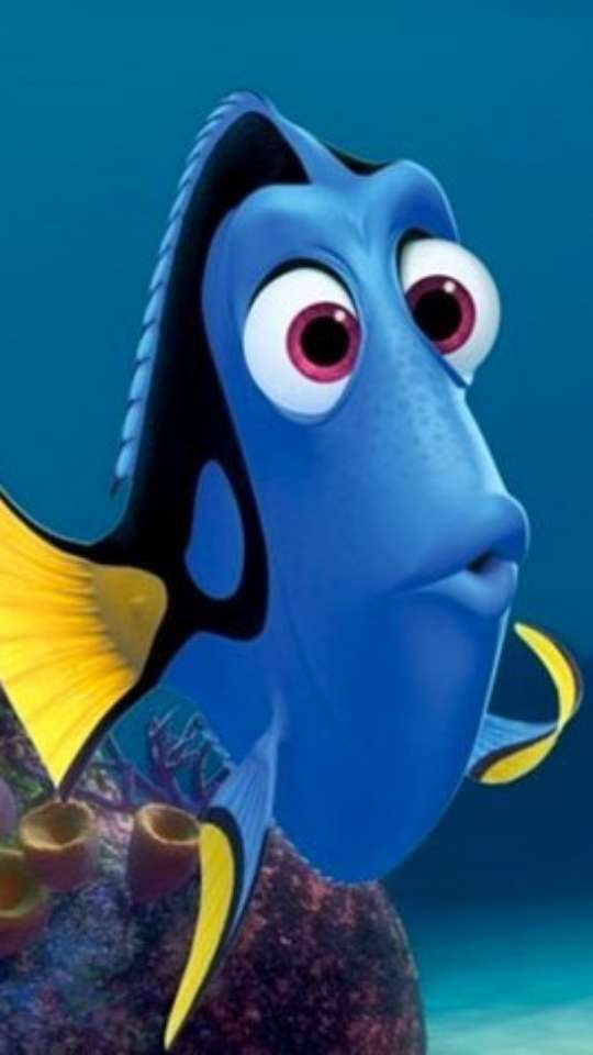 Querida Procurando Nemo Nigel (Procurando Nemo) | Disney Wiki | Fandom